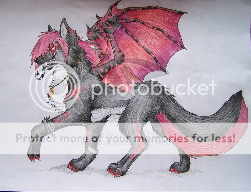 Dragon Wolf Demon Photo by gaaras1andonly2028 | Photobucket